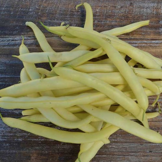 Bean, Pencil Pod Golden Wax – Algonquin Library Adult Services