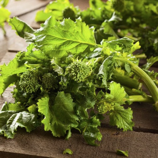 Broccoli Raab, Spring Rapini-OUT OF STOCK – Algonquin Library Adult ...